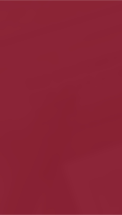 Home - Tax Max Service